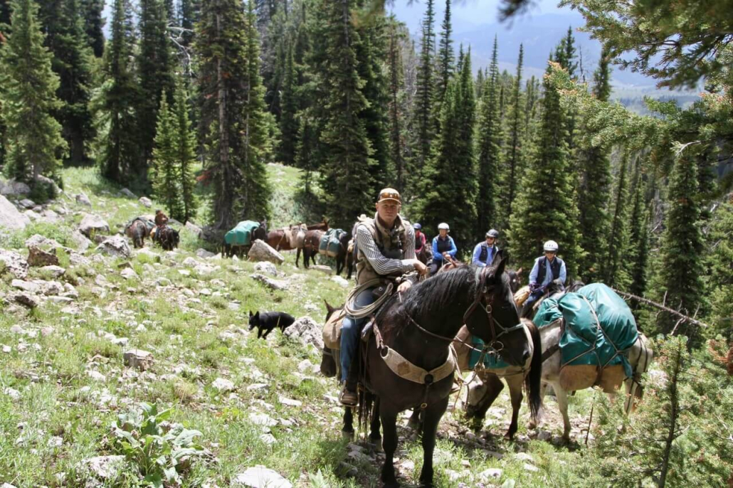 Jackson Hole Wyoming Pack Trips